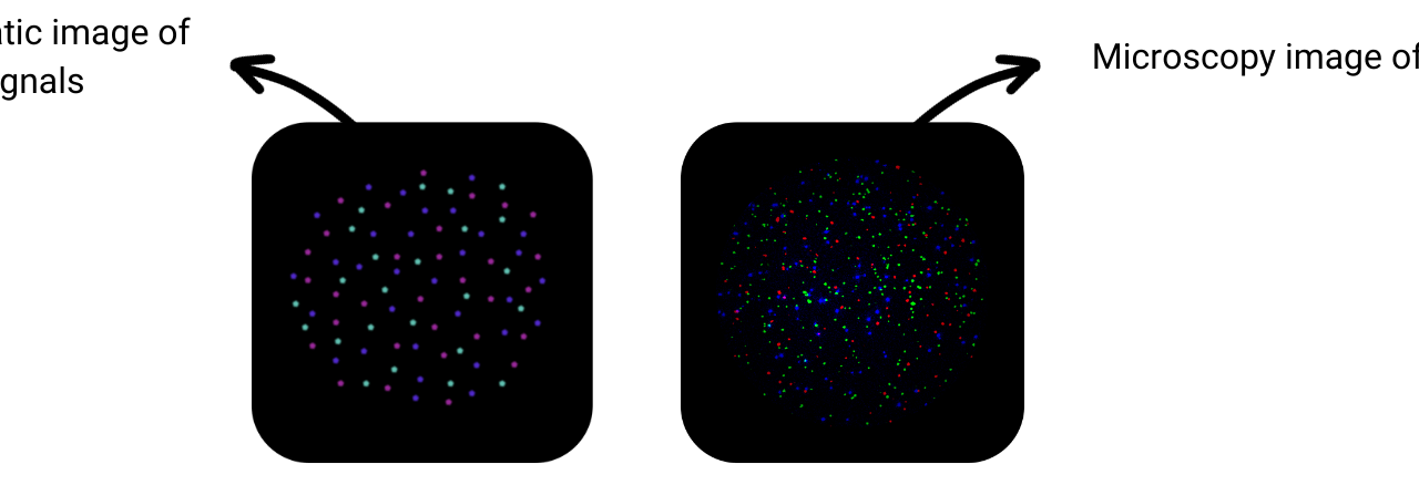 Our Technology | Countagen